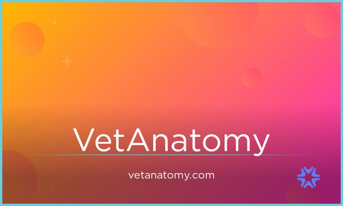 VetAnatomy: The domain name VetAnatomy.com is for sale