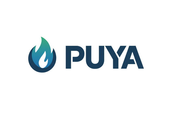 Puya: The domain name Puya.com is for sale