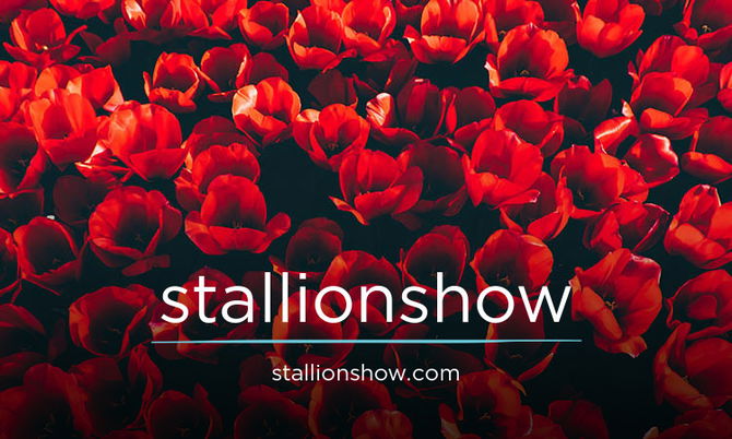 StallionShow: The domain name StallionShow.com is for sale
