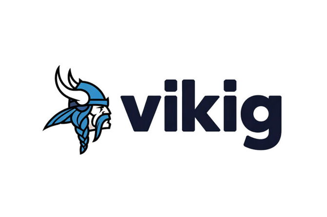 Vikig The Domain Name Is For Sale