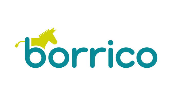 Borrico.com is for sale